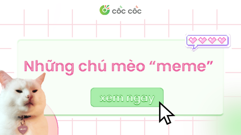 Điểm danh những chú mèo meme nổi nhất mạng xã hội