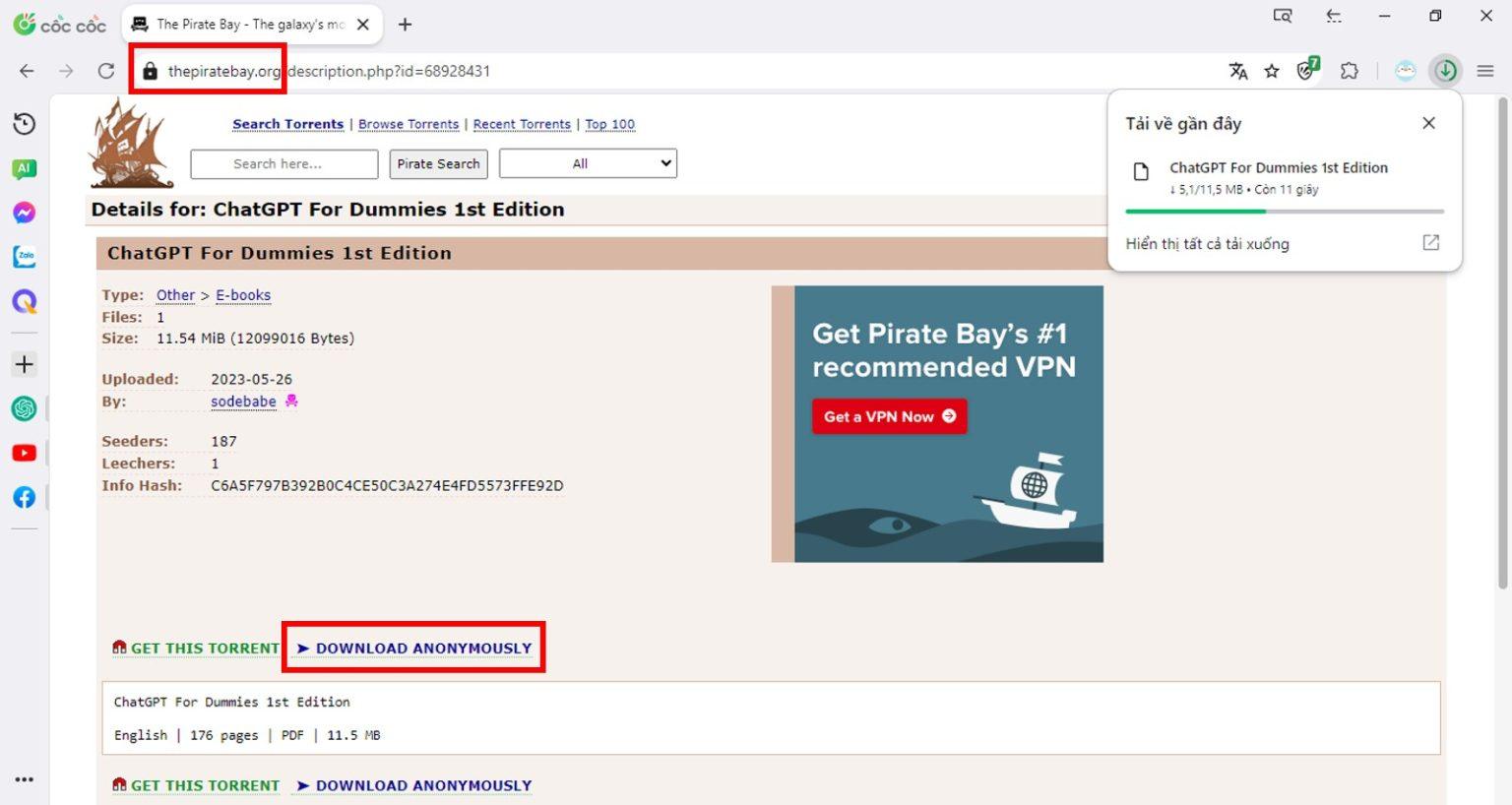 Torrent là gì? Những điều cần biết về torrent