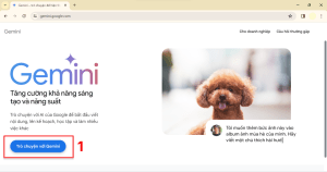 Google Gemini (Bard AI) là gì? Cách sử dụng Gemini tại Việt Nam