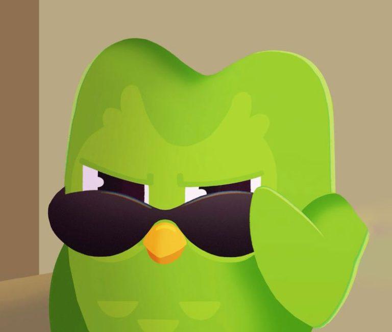 Chia sẻ hình ảnh, cách tự làm Duolingo meme ấn tượng