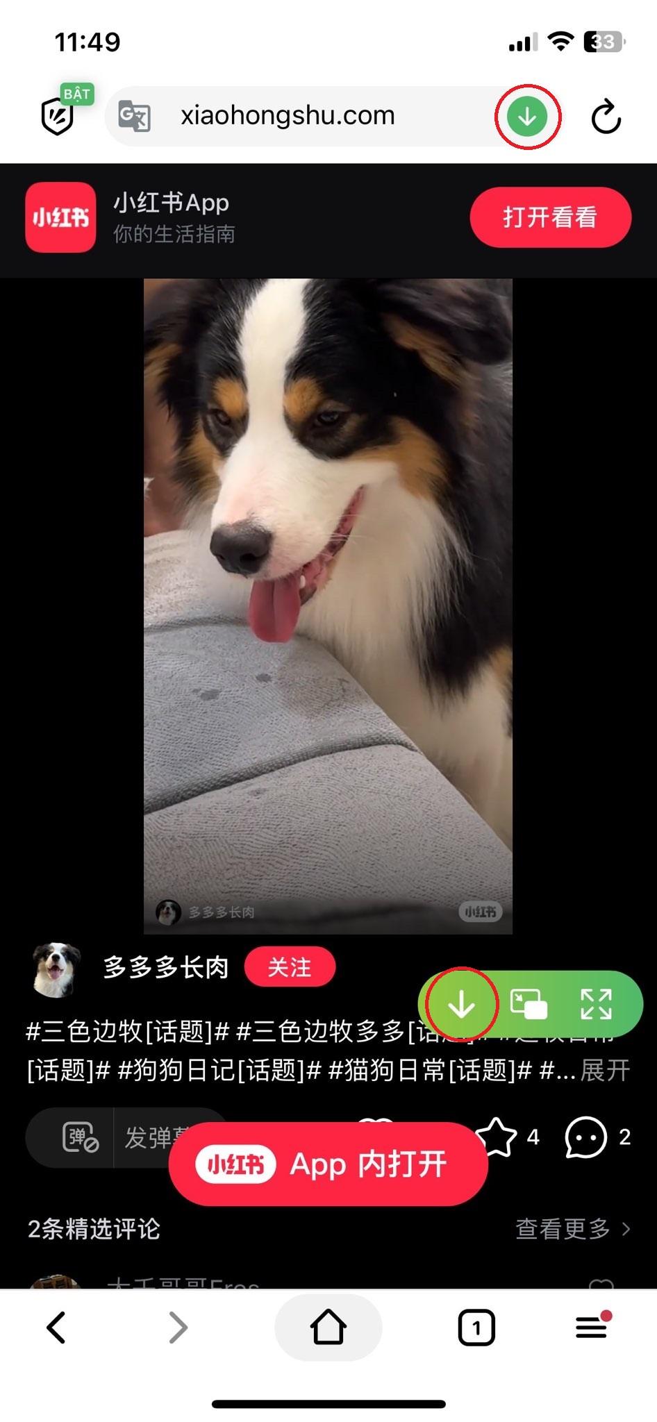 Cách tải ảnh, tải video Xiaohongshu không logo, dễ thực hiện