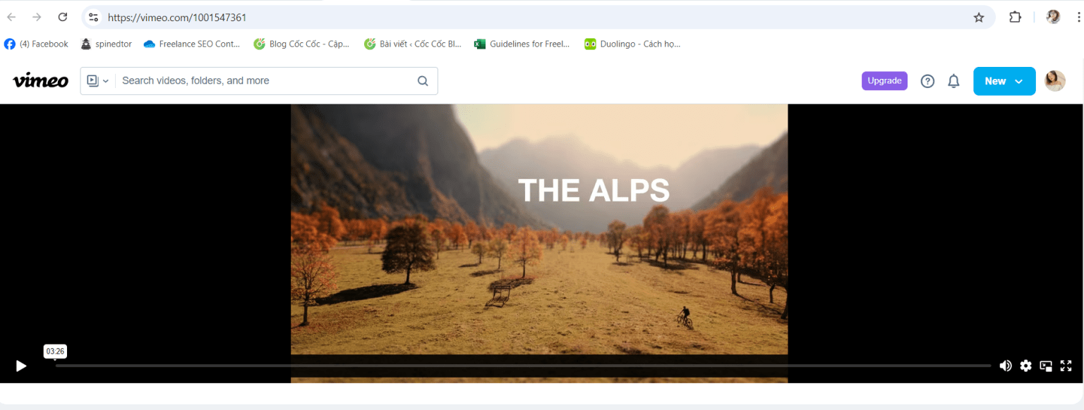 Vimeo là gì? Cách download video Vimeo đơn giản nhất