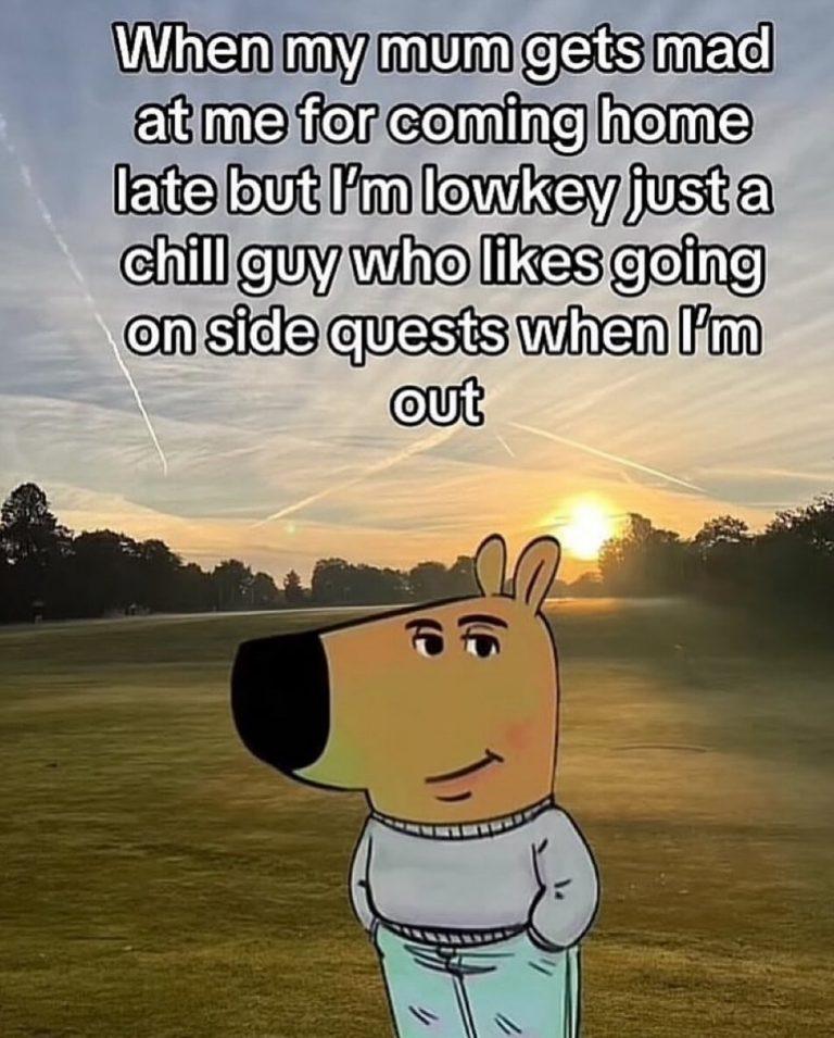 “Chill guy meme”: Tất tần tật về meme hot trên TikTok, Facebook