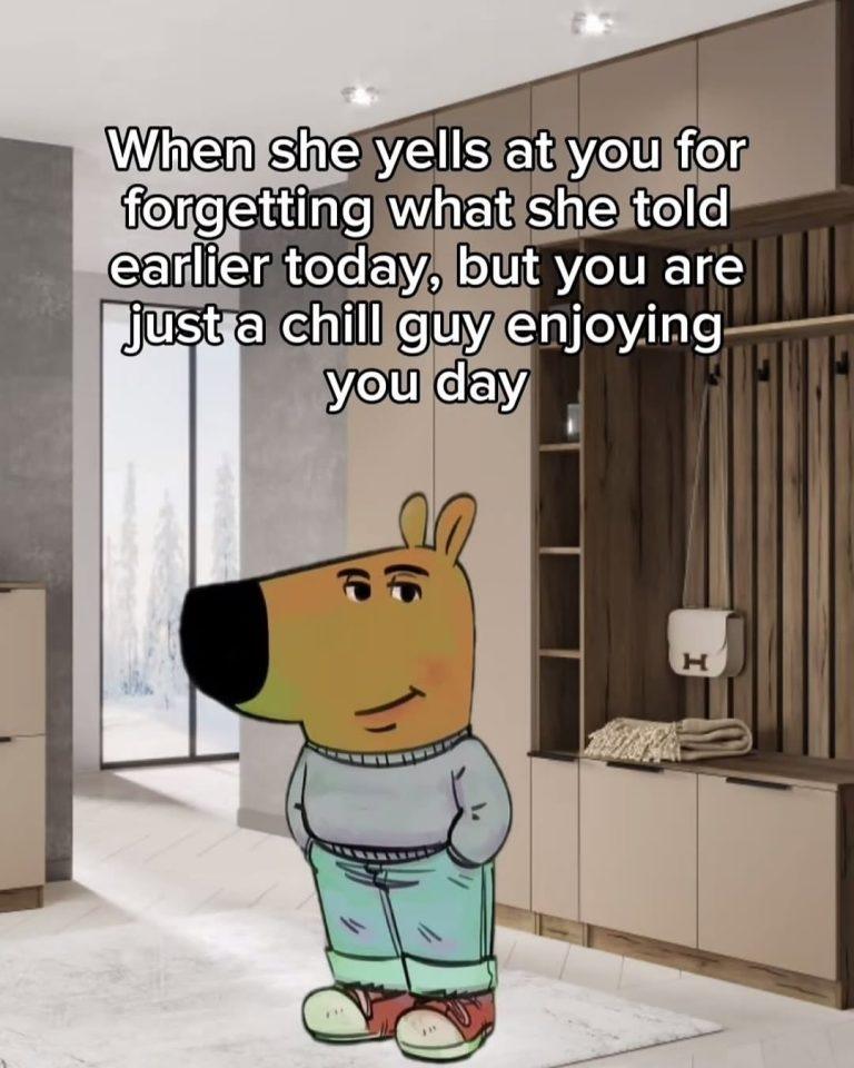 “Chill guy meme”: Tất tần tật về meme hot trên TikTok, Facebook