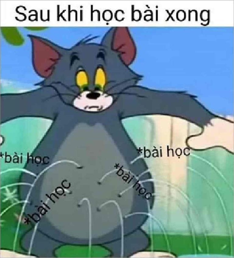 Tổng hợp hình ảnh Meme Tom and Jerry dễ thương và vui nhộn