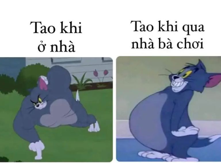 Tổng hợp hình ảnh Meme Tom and Jerry dễ thương và vui nhộn