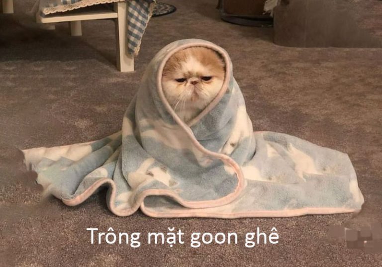Goon là gì? Các nghĩa phổ biến của từ "Goon"