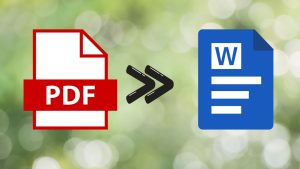 Cách chuyển PDF sang Word miễn phí, không lỗi font